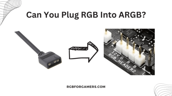 Can You Plug RGB Into ARGB? Here's What You Need to Know - RGB for Gamers