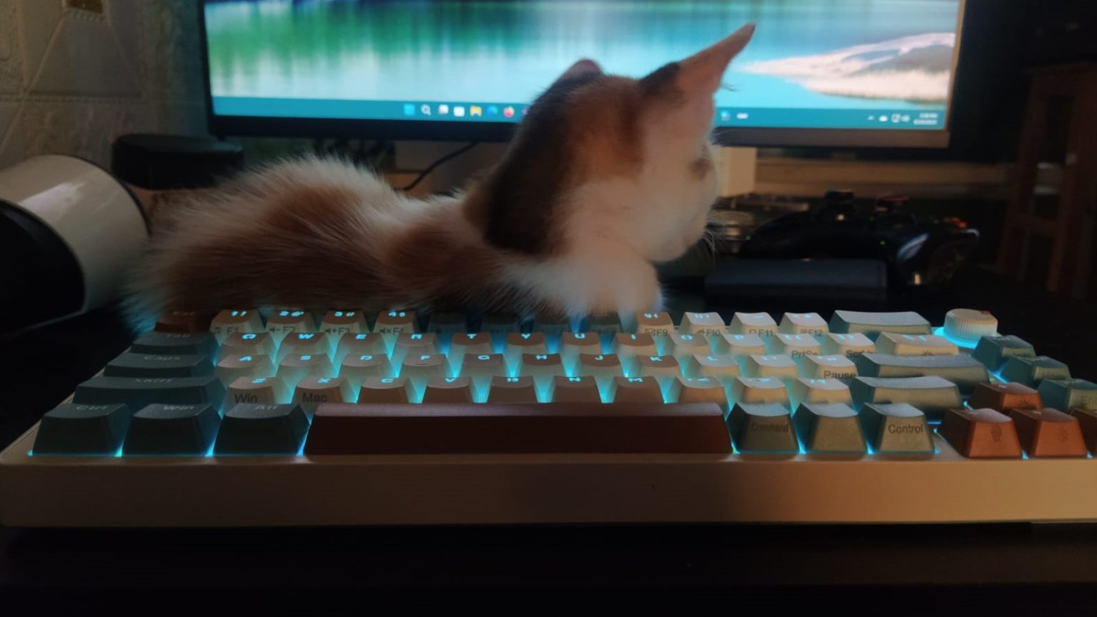 How can I change the color of my LED keyboard? - RGB for Gamers